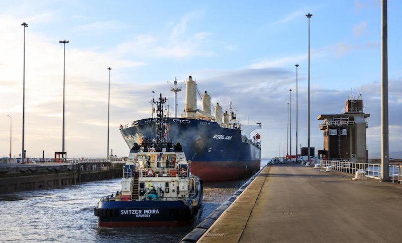 World’s biggest wood pulp producer starts shipments to Bristol Port ...